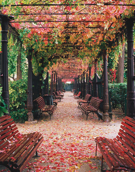 Venetian Fall – Mario Duse Fine Art